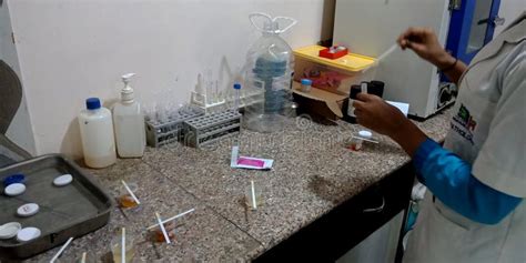lab technician girl checking samples at laboratory in india editorial