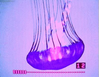 Floatingoutwards Tumblr Com Tumbex