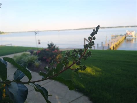 TCL 10L Review Great Design Held Back By The Software Phandroid