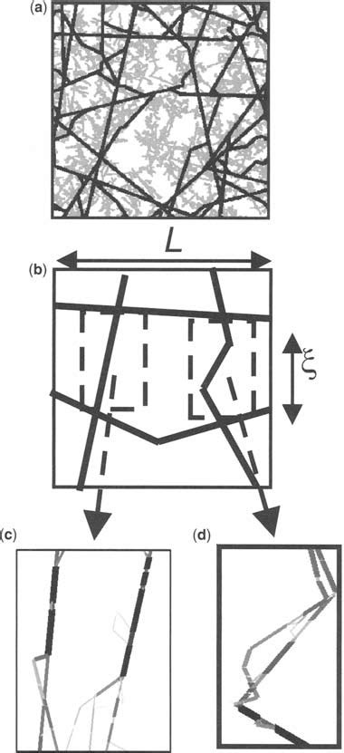 A Typical Fracture Network Generated With A 2 5 And With A Constant Download Scientific