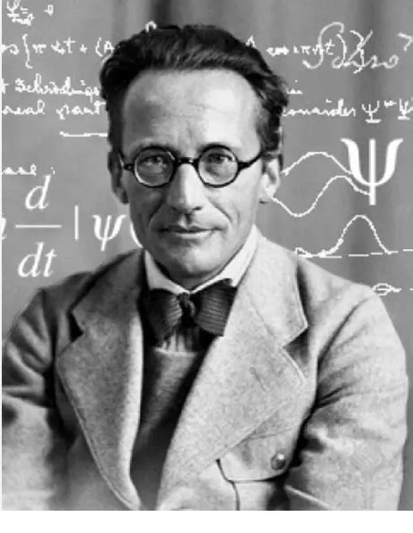 Modelo De Mecanica Quantica De Erwin Schrodinger Gato De Schrodinger