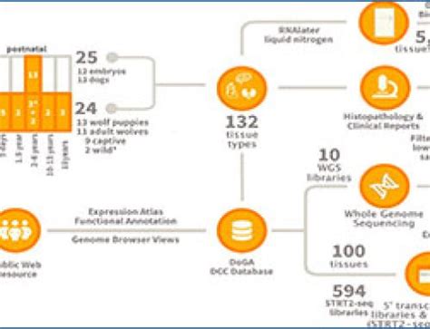 Circrnadb A Comprehensive Database For Human Circular Rnas With Protein Coding Annotations