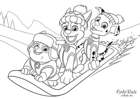 Раскраски Щенячий Патруль Распечатать Бесплатно А4