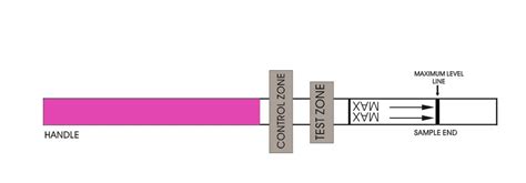 Accumed Pregnancy Hcg Test Strip Quick Start Guide Accumed