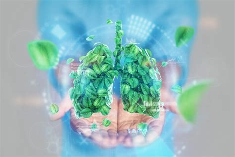 Too Strange To Be True Tree Found Growing In Mans Lung Discover