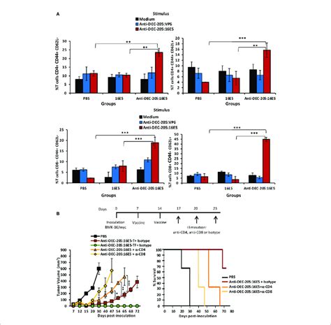 16e5 Specific Memory T Cells Play An Important Role In Protecting