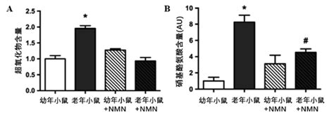 《衰老细胞》研究显示，补充β 烟酰胺单核苷酸可增加血管弹性，使衰老血管恢复年轻 Nmn中国官方网站