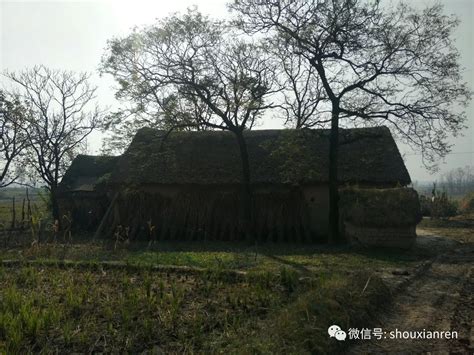 寿县乡村土屋 田野大树谷场池塘菜园诗情画意世外桃源
