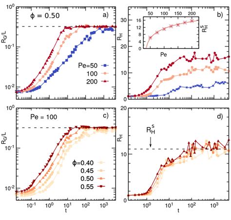Parameter Dependencies Of The Dense Phase And Hexatic Growing Lengths