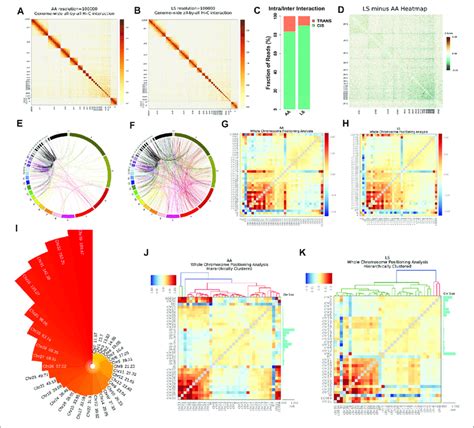 Chromatin Cistrans Interaction Analysis Of Aa And Ls Chicken Breast