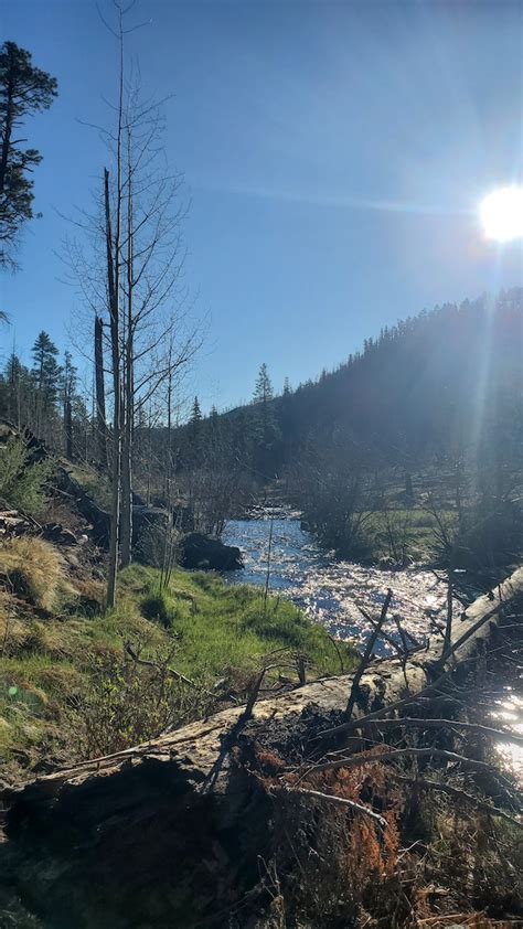 Discover The Beauty Of Government Springs Trail In Arizona White