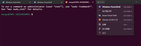 Day3 Wsl下启动第一个nest项目（java转ts全栈3r教室）nest Vben Admin Csdn博客