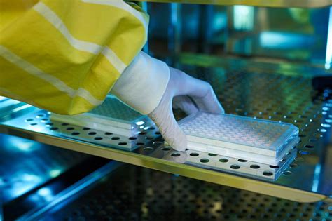 Ilite® Complement Dependent Cytotoxicity Cdc Bioassays