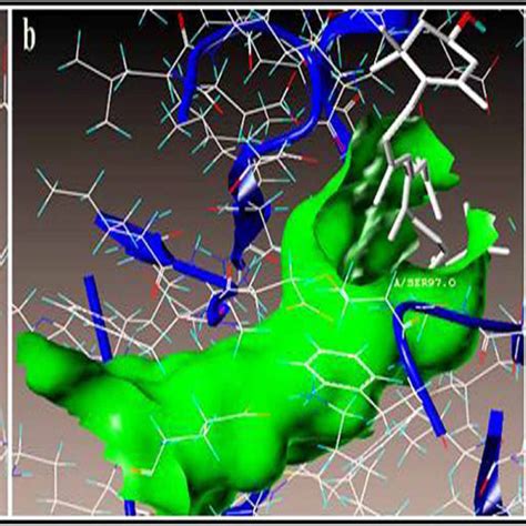 Docked View Of Compound Leutin At The Active Site Of The Enzyme Pdb
