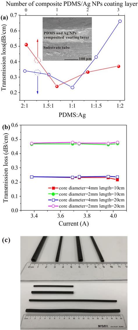 A Transmission Loss Of The 3d Printed Terahertz Waveguide With A 4 Mm Download Scientific