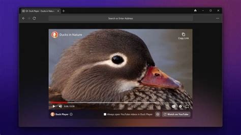 Duckduckgo Finally Brings Web Browser For Windows Heres The Feature