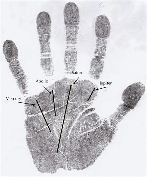 Flowing On Purpose Vertical Lines In Your Hands American Academy Of Hand Analysis