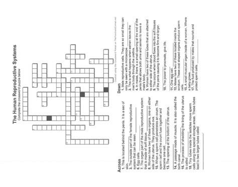 Solved Across Down 1 This Is Located Behind The Penis It