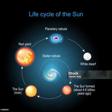 Life Cycle Of A Sun Like Star