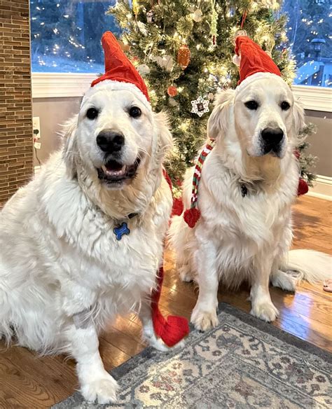 Recognizing The Contributions Of My Other Team On The Remote Work Days … Tracy Eaves