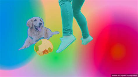 Muhammad Rizwan Munawar On Linkedin Instance Segmentation Using Meta