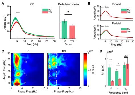 Olfactory Bulb Exhibits Reduced Delta Oscillations And Modulation Index
