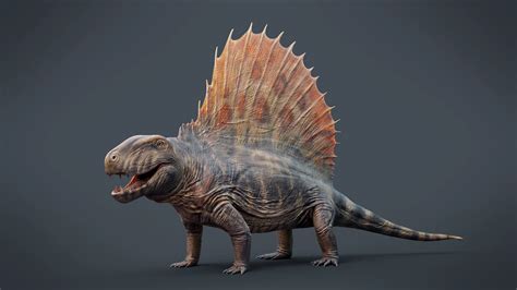 Dimetrodon Fossil Wiki Fandom