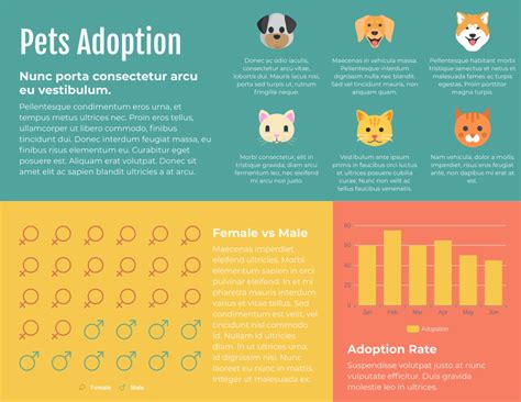 Pets Adoption Horizontal Infographic Infografik Template