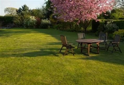 How To Level A Bumpy Lawn Causes And Fixes Sumo Gardener