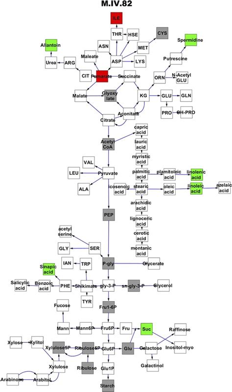 Figures And Data In Cytoplasmic Genetic Variation And Extensive