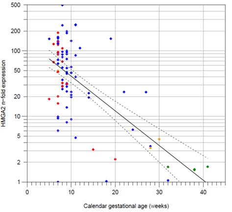 Hmga2 Expression In Relation To The Gestational Age Including The