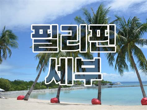 필리핀 세부 대표 음식