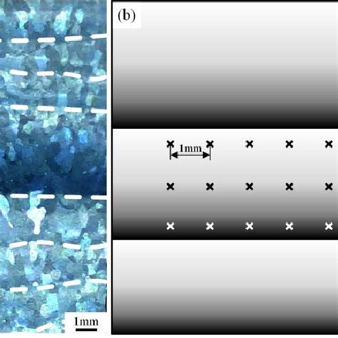 Microhardness Measurement Schematic Diagram Asedimentary Download Scientific Diagram