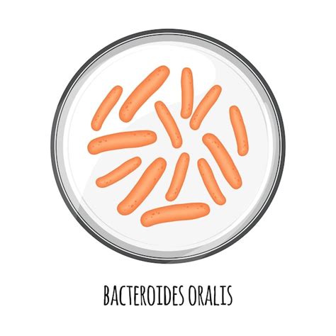 Vetores E Ilustrações De Bacteroides Para Download Gratuito Freepik