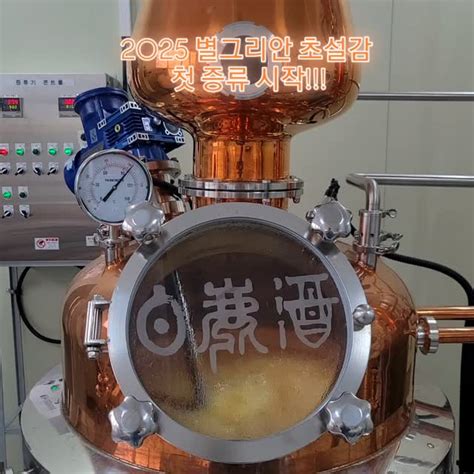 Lee Hyunil 백록주가 귀한 삼양주 달그리안15 프리미엄탁주 제주의선물 제주우리술 우리 백록주가 탁주는 벚꽃피는날에제주 만 있는 줄 아시고는 오셨다가