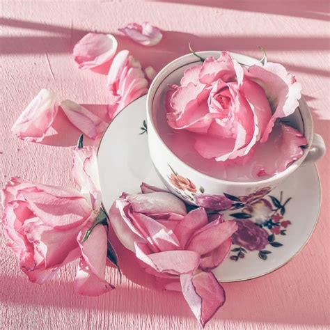 Розы в чашке Посуда Чашка