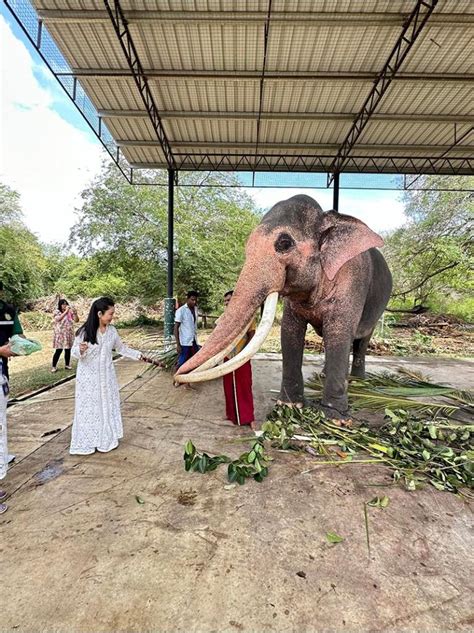 Photo Gallery ช่างแตกต่าง พลายศรีณรงค์” เพื่อนรวมรุ่น พลายศักดิ์