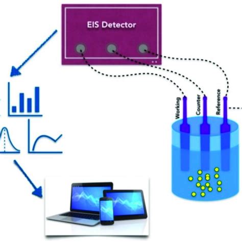 Schematic View Of A Biosensor Eis Electrochemical Impedance Download Scientific Diagram