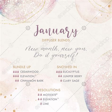 Diffuser Blends January New Year By Conceptb Boheme