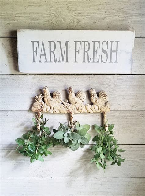 9 Best Herbs For Chicken Immune System Health Fresh Eggs Daily