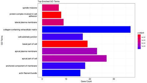 padj based gradient scale from barplot clusterprofiler results does