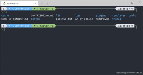 Ubuntu 与 Windows Terminal Zsh 美化教程p10k命令行颜色 Csdn博客