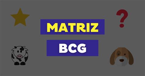 Matriz Bcg Qué Es Y Para Qué Sirve Con Ejemplos