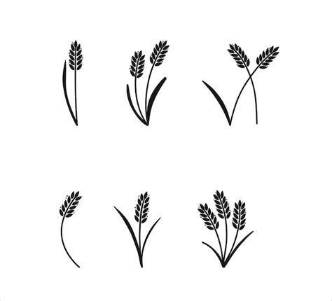 밀 귀 보리 또는 쌀 검은 실루엣 맥주 또는 베이커리 로고 격리 요소 라벨 및 엠블럼 빵 포장 장식 개체 잘 익은 Spikelets 벡터 세트에 대 한 유기 농장 요소