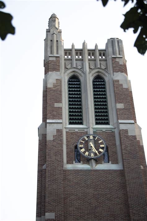 Msu Trustee Pat Okeefe Resigns Cites Serious Concerns About School