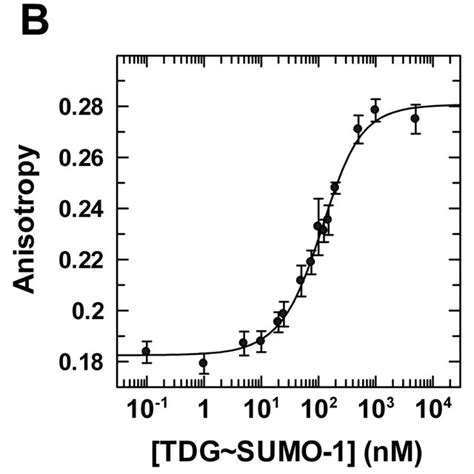 Dissociation Constants For Enzyme Substrate Complexes Download Scientific Diagram