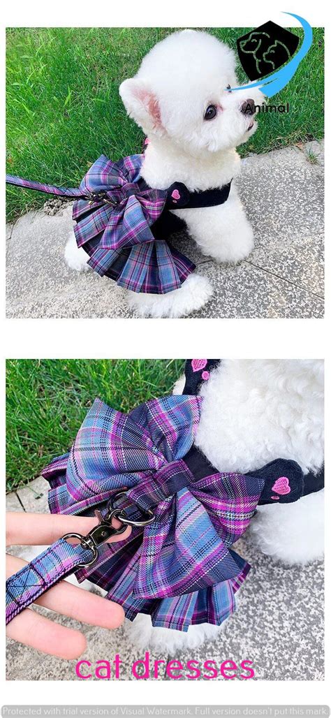 Cat Dress Pattern Diy Cat Clothes Cat Dress Color Cat Crochet