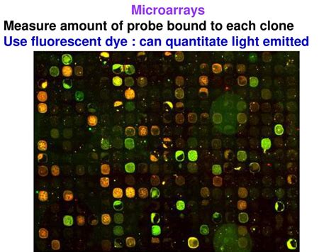 Bio Resource And Policy Information Ppt Download