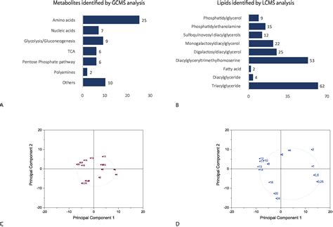 A Multi Omics Extraction Method For The In Depth Analysis Of Synchronized Cultures Of The Green