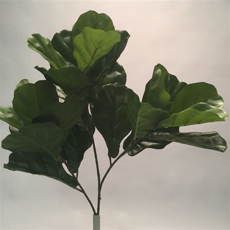 Fiddle Leaf Fig Branch Tl752 Dandw Silks